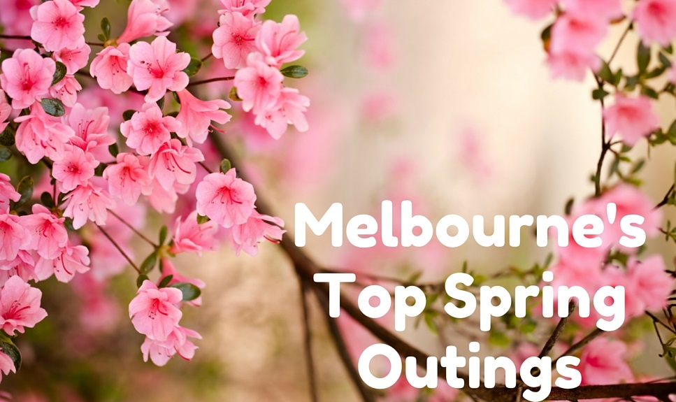 Melbourne's Top Spring Outings - Melbourne Mamma - Fashion | Food ...